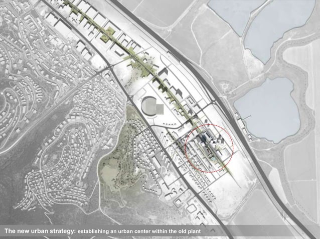 Noam muskal -_project_presentation | PPT