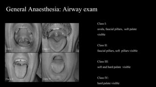 Anaesthesia primer | PPTX