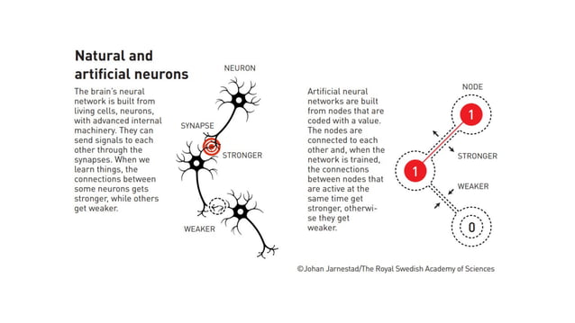 Neural Network Pioneers Win Nobel Prize for Transforming AI | PPTX