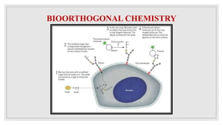 Nobel prize winners in physics and chemistry 2022.pptx