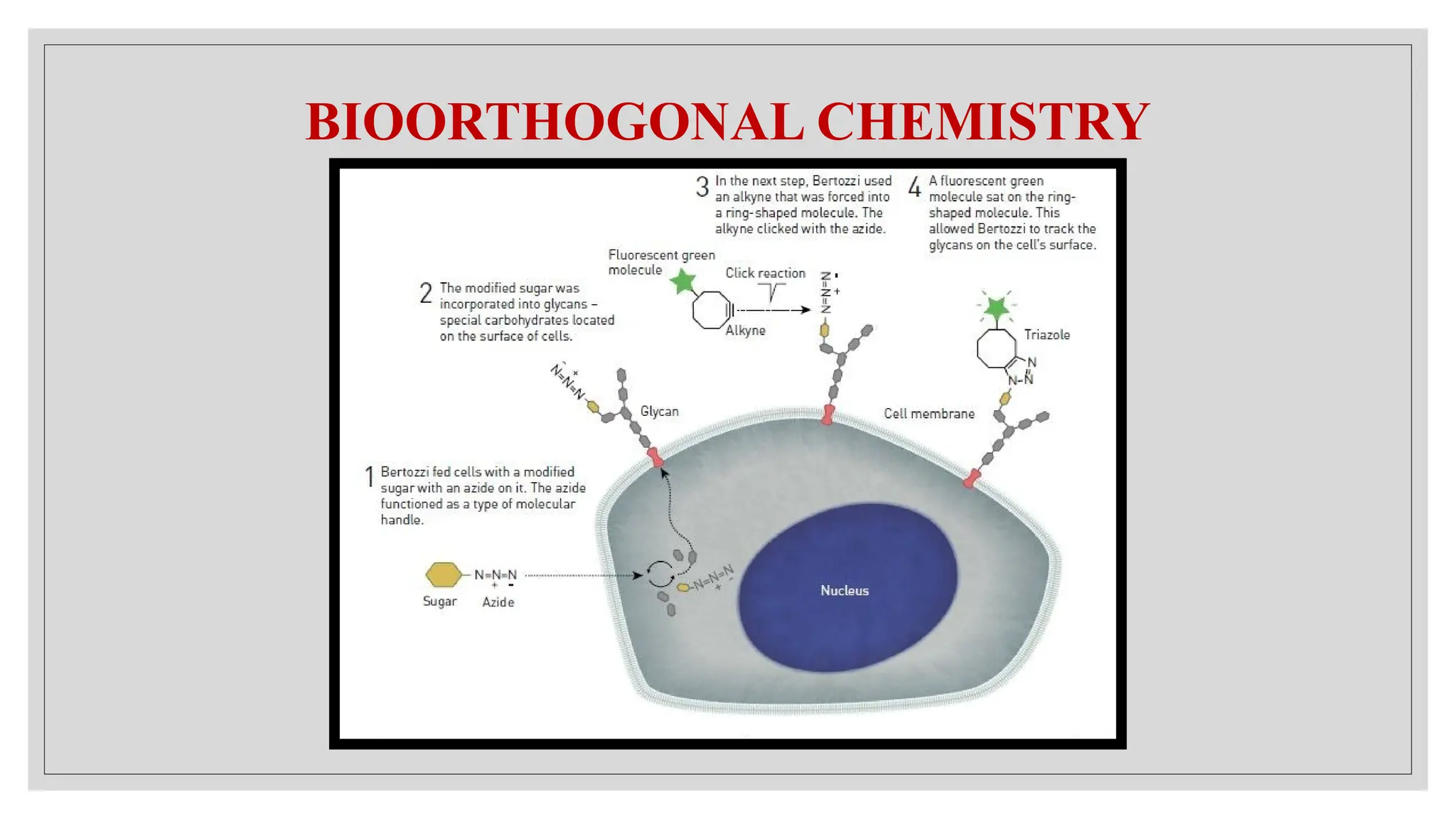 Nobel prize winners inhh physics and chemistry 2022.pptx
