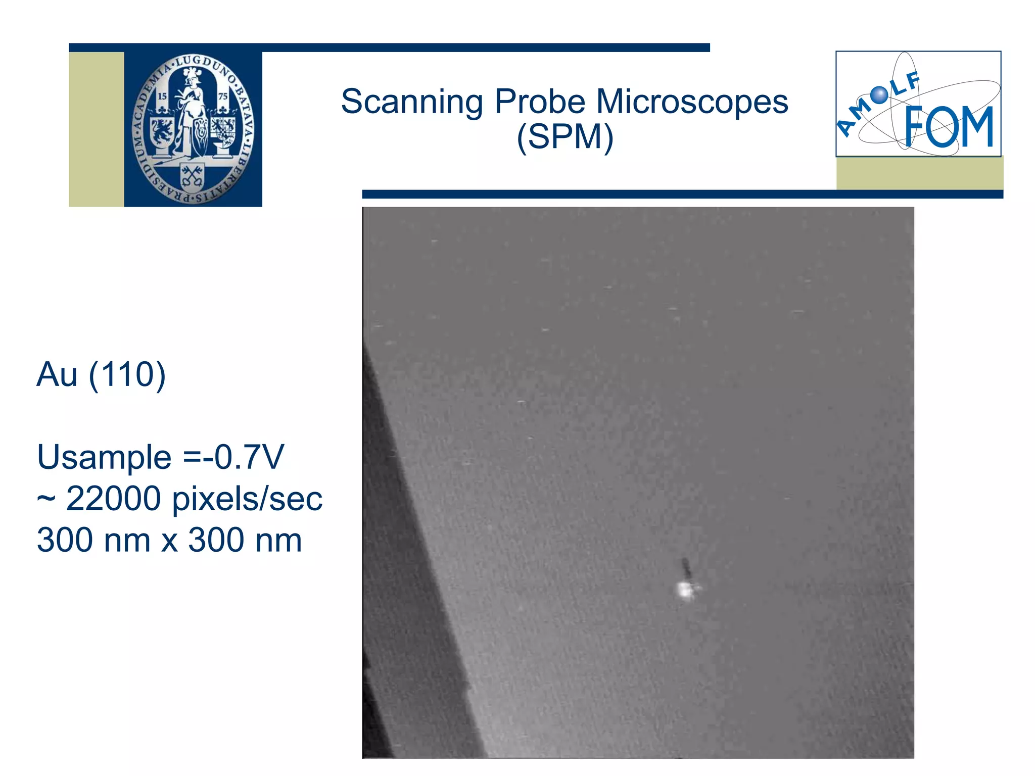 Nobugs.ppt | Free Download