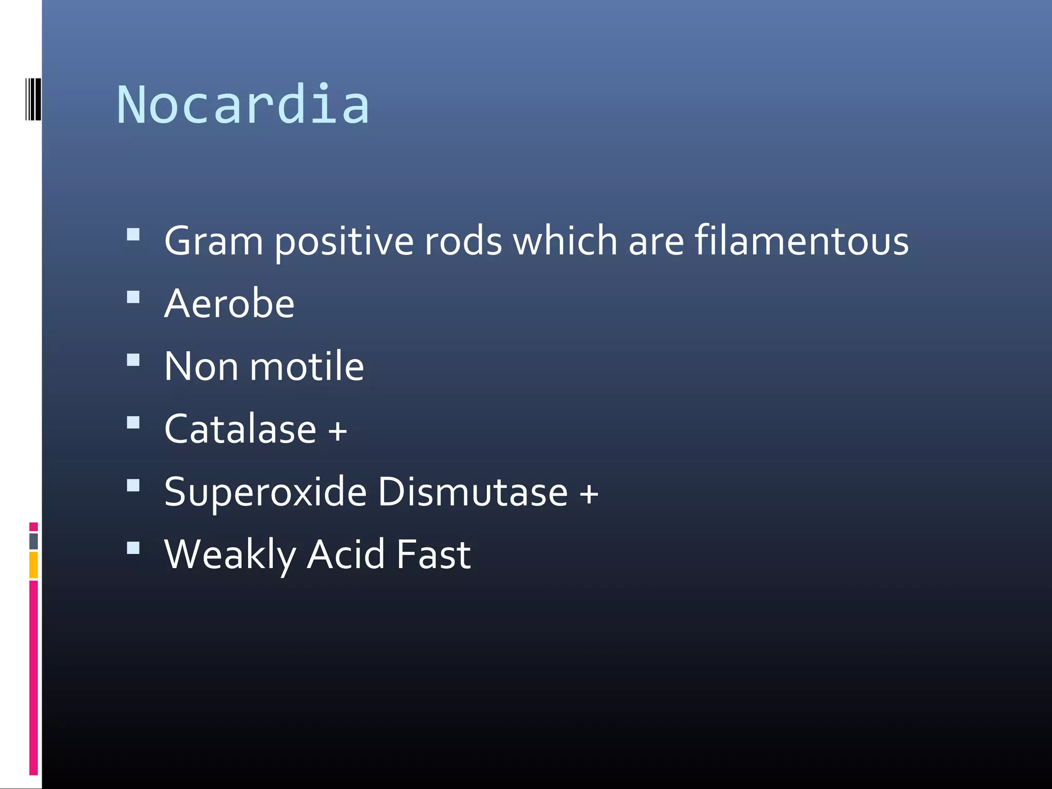 Nocardia | PPT
