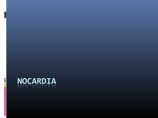 Nocardia | PPT
