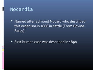 Nocardia | PPT
