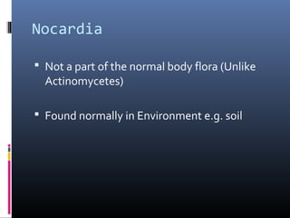 Nocardia | PPT