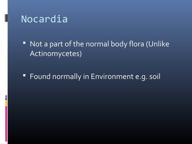 Nocardia | PPT | Infectious Diseases | Diseases and Conditions