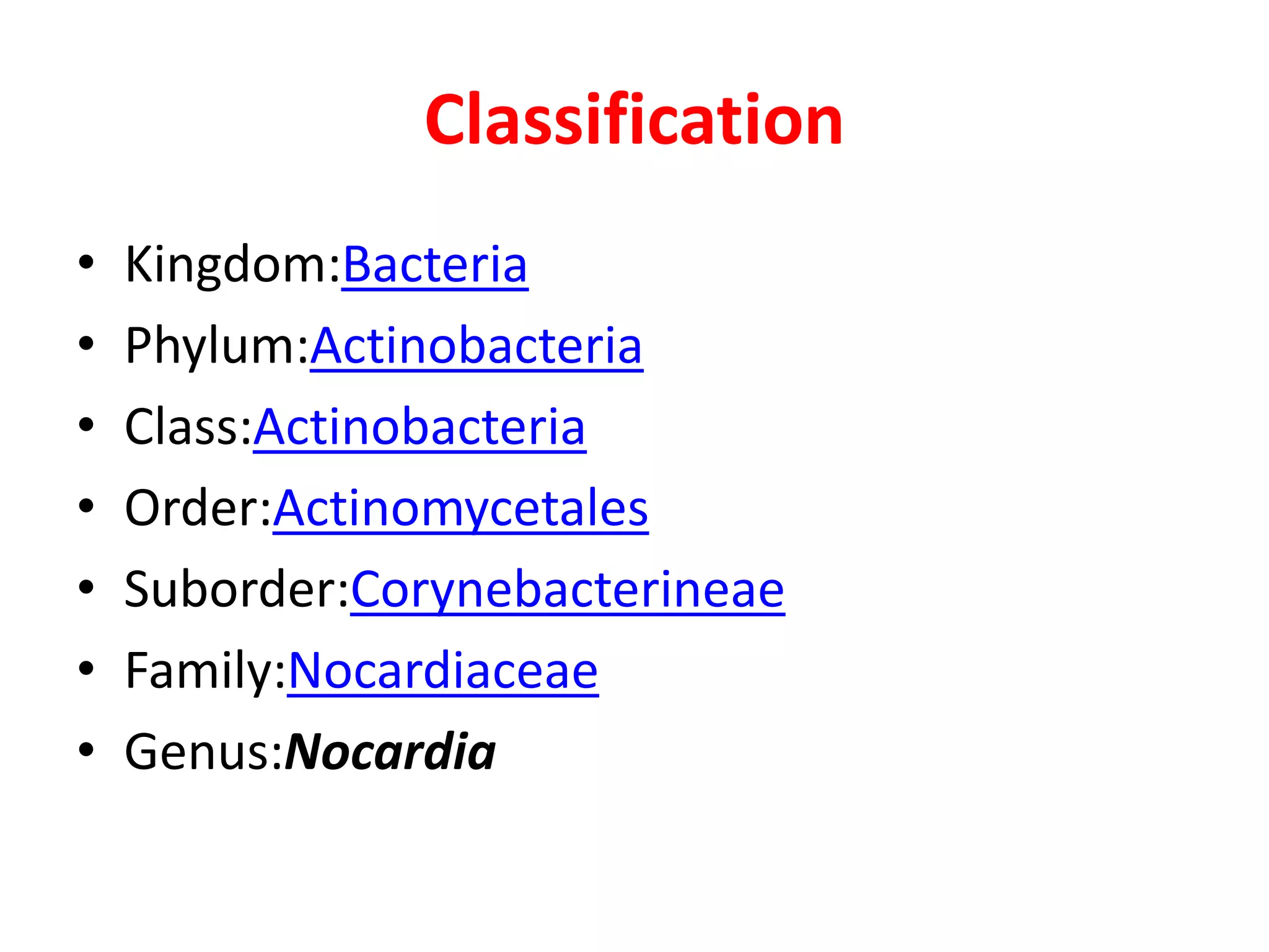 Nocardia | PPTX