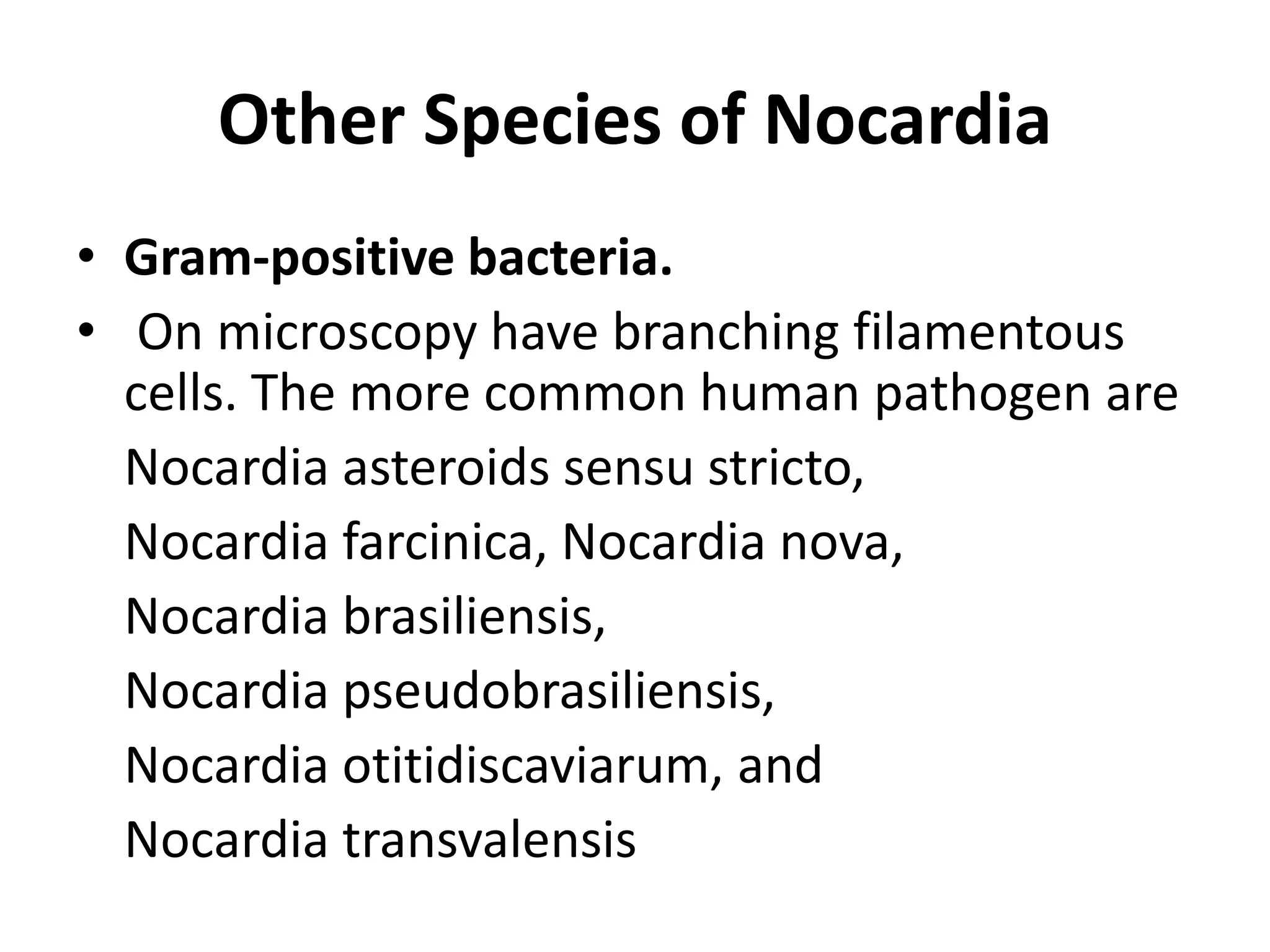 Nocardia | PPTX