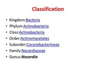 Nocardia | PPTX