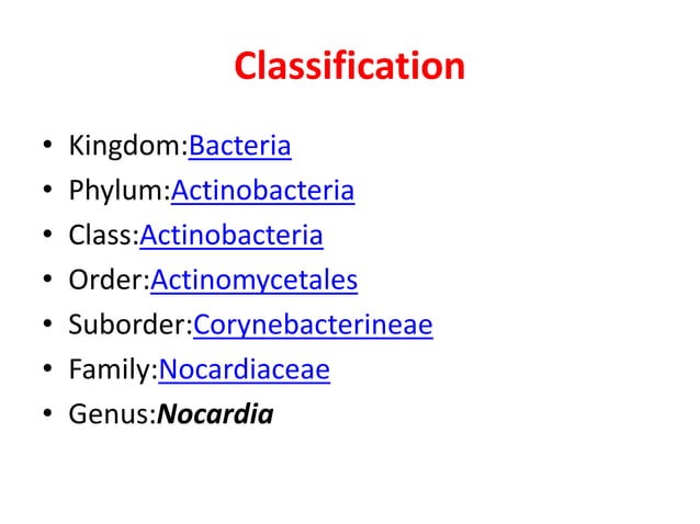 Nocardia | PPTX | Lung and Respiratory Health | Diseases and Conditions