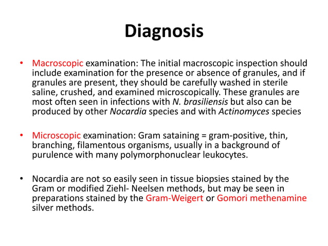 Nocardia | PPTX | Lung and Respiratory Health | Diseases and Conditions