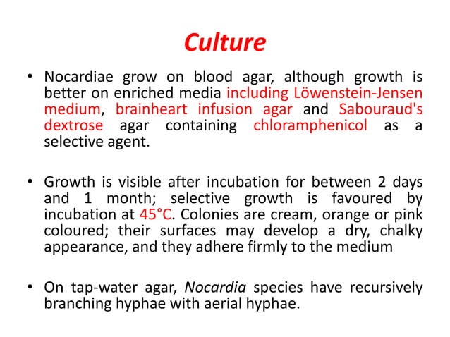 Nocardia | PPTX | Lung and Respiratory Health | Diseases and Conditions