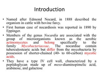 Nocardia | PPTX