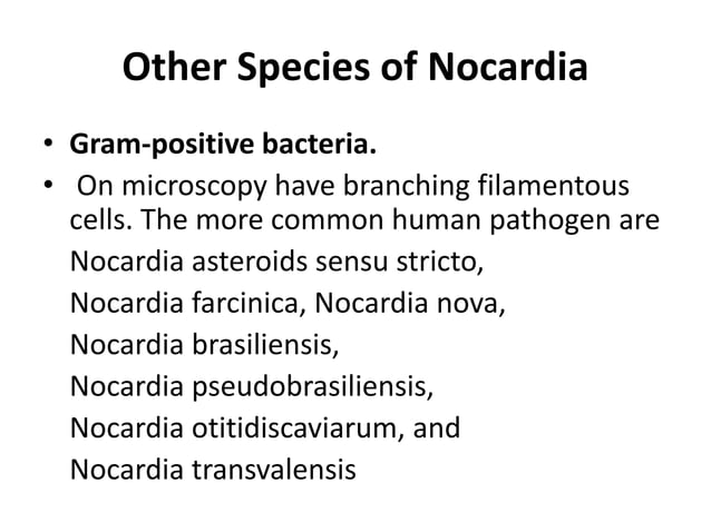 Nocardia | PPTX | Lung and Respiratory Health | Diseases and Conditions