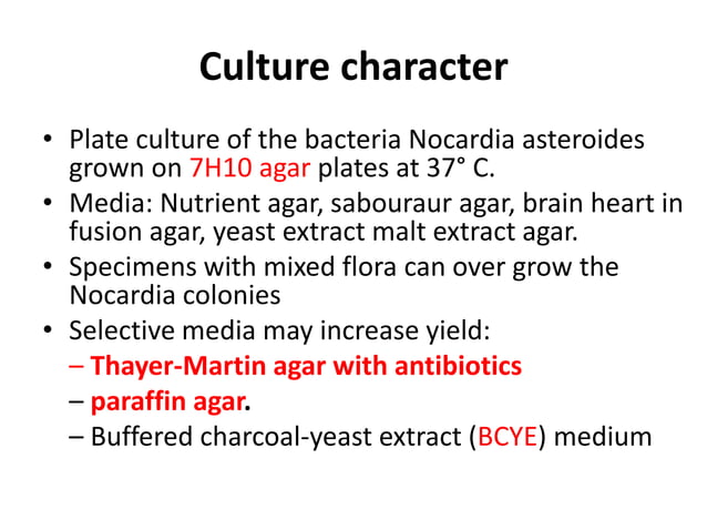 Nocardia | PPTX | Lung and Respiratory Health | Diseases and Conditions