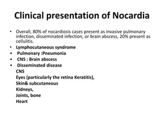 Nocardia | PPT