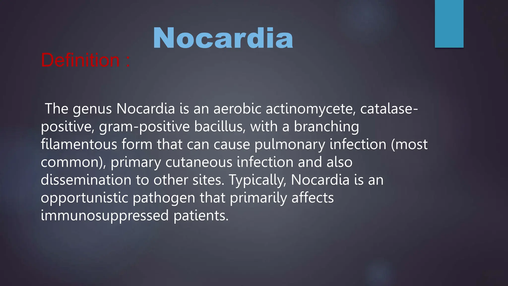 Nocardia.pptx