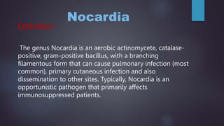 Nocardia.pptx