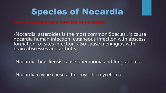 Nocardia.pptx | Infectious Diseases | Diseases and Conditions