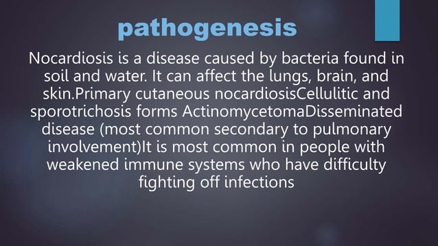 Nocardia.pptx | Infectious Diseases | Diseases and Conditions