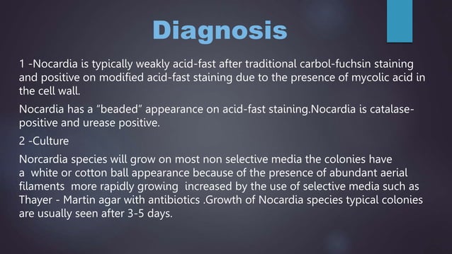 Nocardia.pptx | Infectious Diseases | Diseases and Conditions