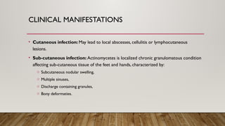 Nocardia.-Introduction,Morphology,Classification,Pathogenesis ...