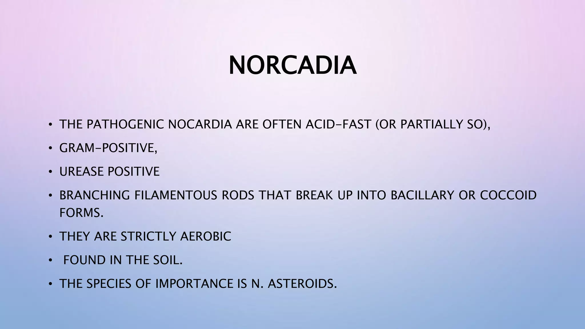 Nocardia, Actinomyces and Streptomyces Latest1.pptx