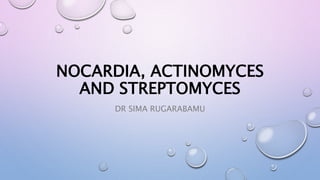 Nocardia, Actinomyces and Streptomyces Latest1.pptx