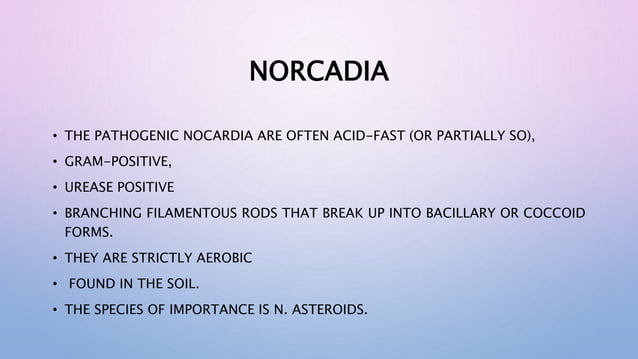 Nocardia, Actinomyces and Streptomyces Latest1.pptx