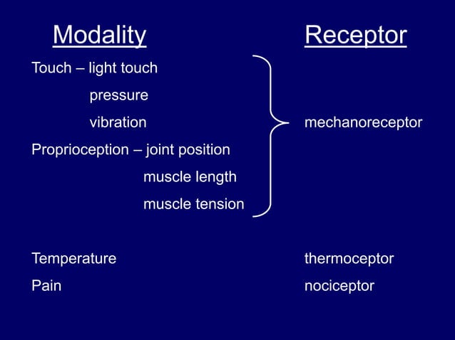 nociception.ppt physiology of pain and sleep | PPT