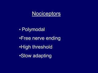 nociception.ppt physiology of pain and sleep | PPT