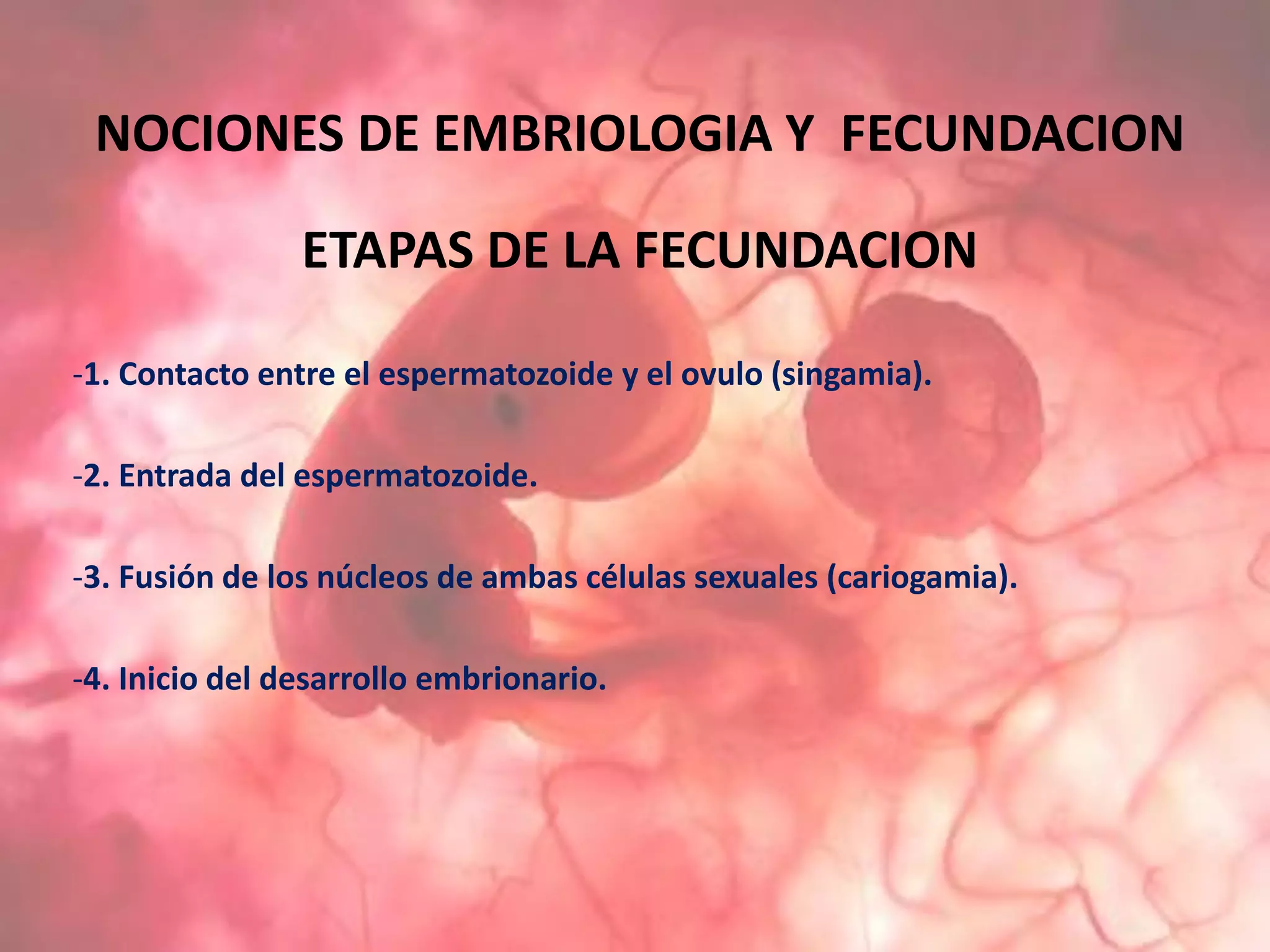 Tema N°13. Nociones de Embriología Fecundación | PPT