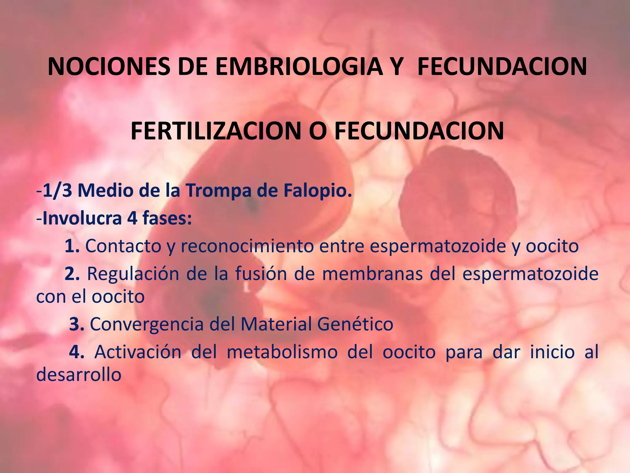 Tema N°13. Nociones de Embriología Fecundación | PPT