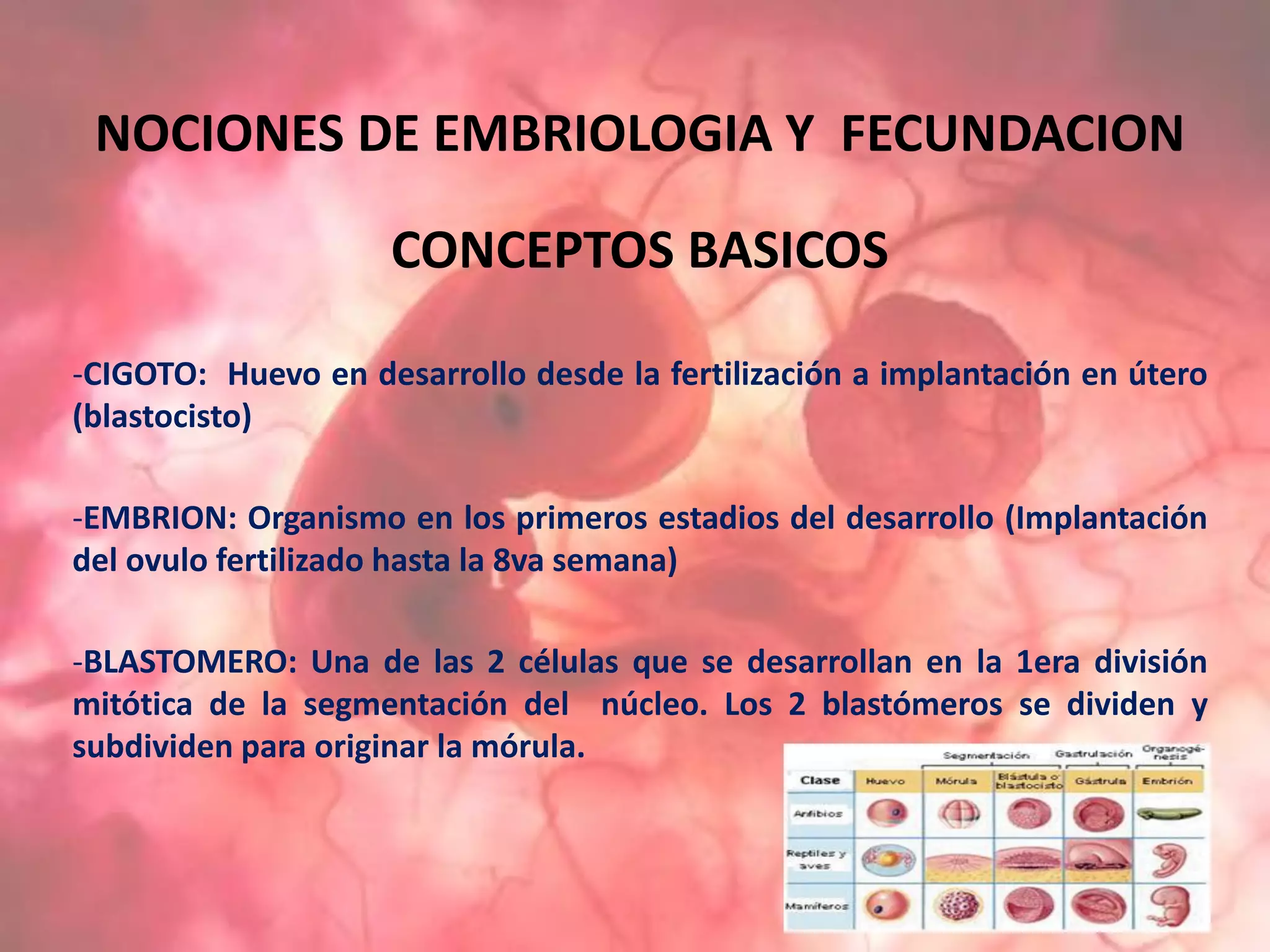 Tema N°13. Nociones de Embriología Fecundación | PPT
