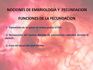 Tema N°13. Nociones de Embriología Fecundación | PDF