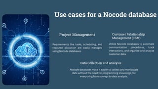 Improving Efficiency in Data Handling: Adopt Nocode Database Solutions | PPT