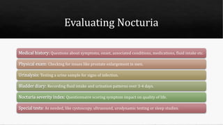 Nocturia Causes And Treatments For Frequent Urination At Night.pptx