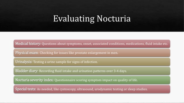 Nocturia Causes And Treatments For Frequent Urination At Night.pptx ...