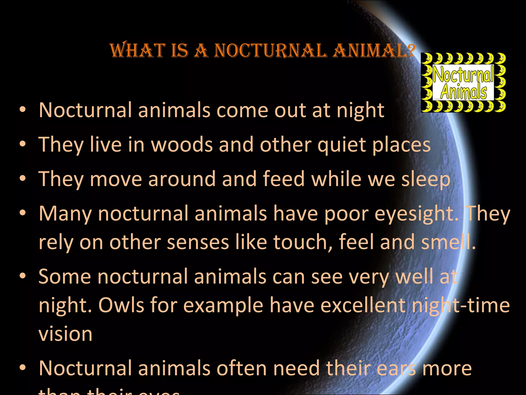 Nocturnal animals ben d | PPT | Birds | Pets