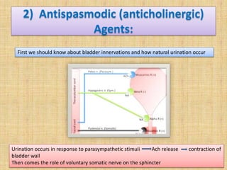 Nocturnal enuresis vs urine retention | PPTX