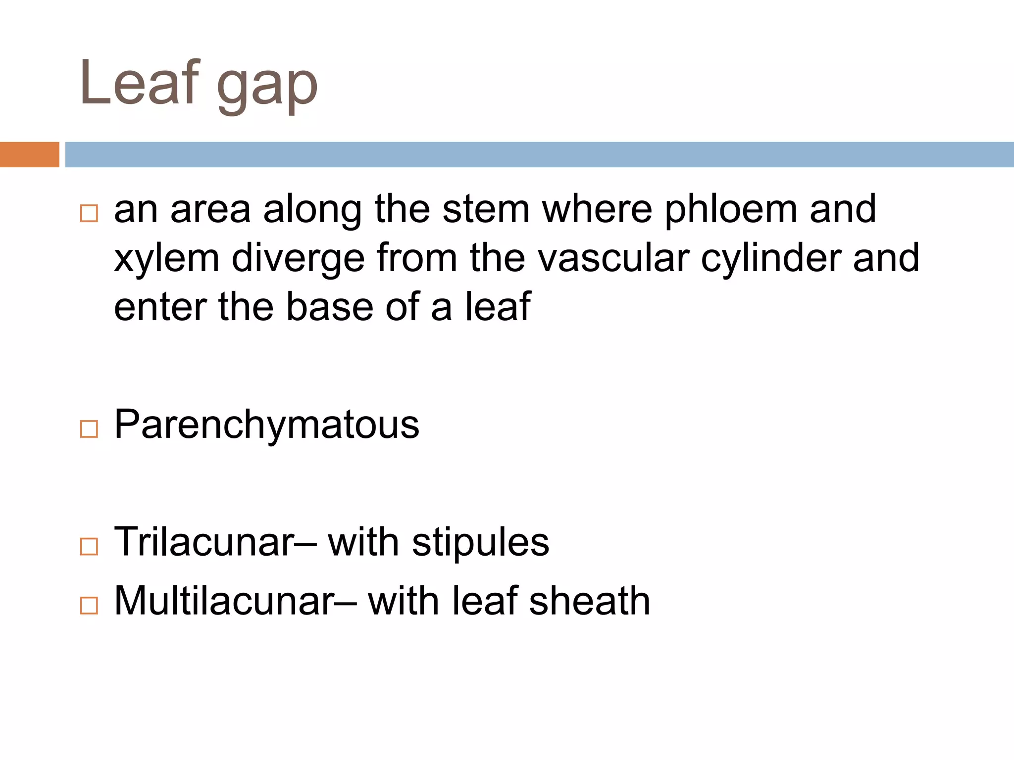 Nodal Anatomy | PPTX