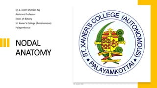 NODAL ANATOMY_TYPES OF NODE AND PHYLOGENETIC VIEWS | PDF