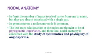 NODAL ANATOMY_TYPES OF NODE AND PHYLOGENETIC VIEWS | PDF