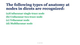 NODAL ANATOMY_TYPES OF NODE AND PHYLOGENETIC VIEWS | PDF