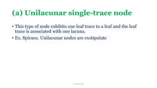 NODAL ANATOMY_TYPES OF NODE AND PHYLOGENETIC VIEWS | PDF