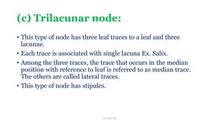 NODAL ANATOMY_TYPES OF NODE AND PHYLOGENETIC VIEWS | PDF