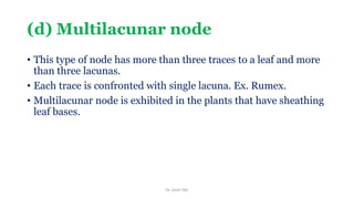 NODAL ANATOMY_TYPES OF NODE AND PHYLOGENETIC VIEWS | PDF