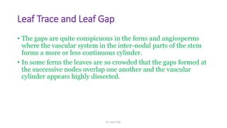 NODAL ANATOMY_TYPES OF NODE AND PHYLOGENETIC VIEWS | PDF