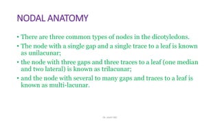 NODAL ANATOMY_TYPES OF NODE AND PHYLOGENETIC VIEWS | PDF